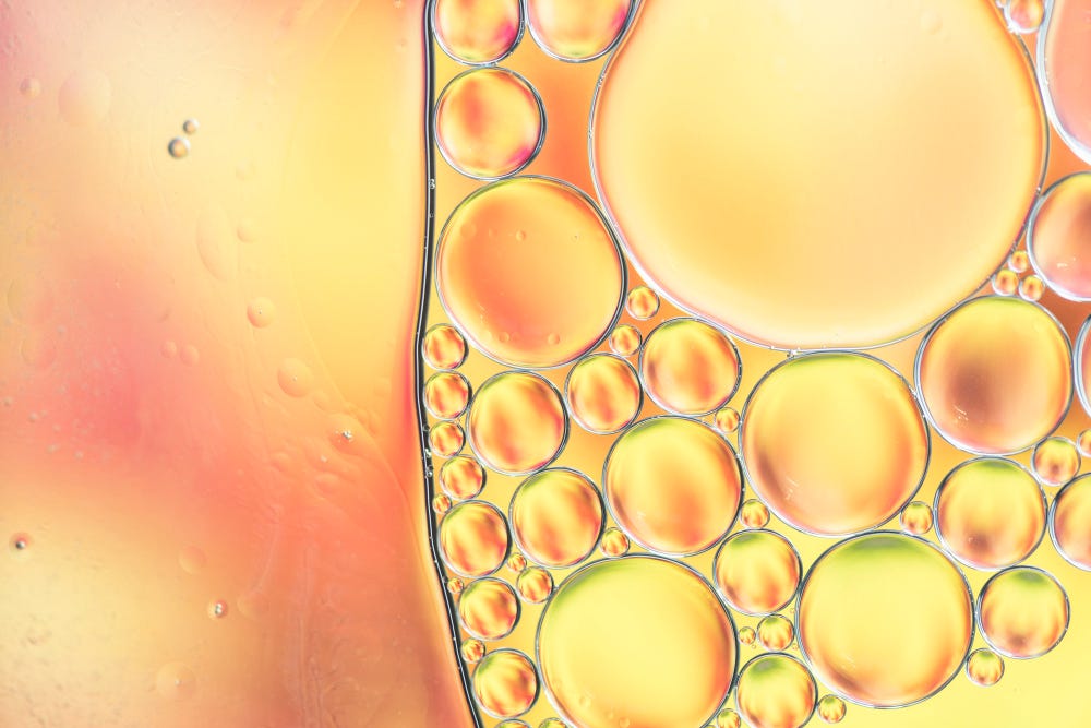 Longevity Briefs: How Fat Tissue Drives Ageing, And What You Can Do ...