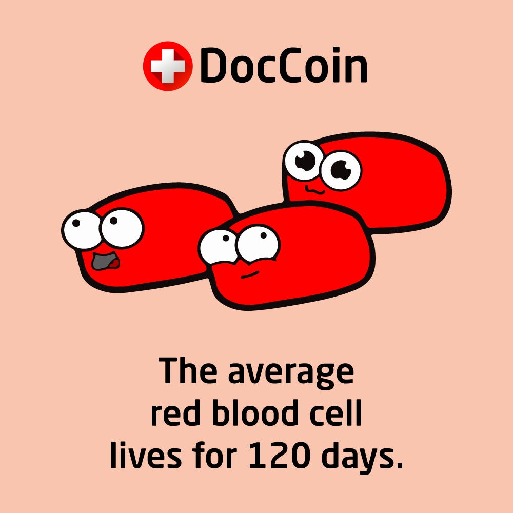 #DocCoin 🚑🚑🚑. | by Doc Coin | Medium