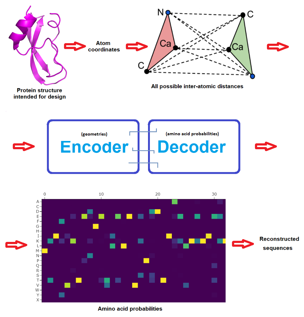 New deep-learned tool designs novel proteins with high accuracy | by LucianoSphere (Luciano ...