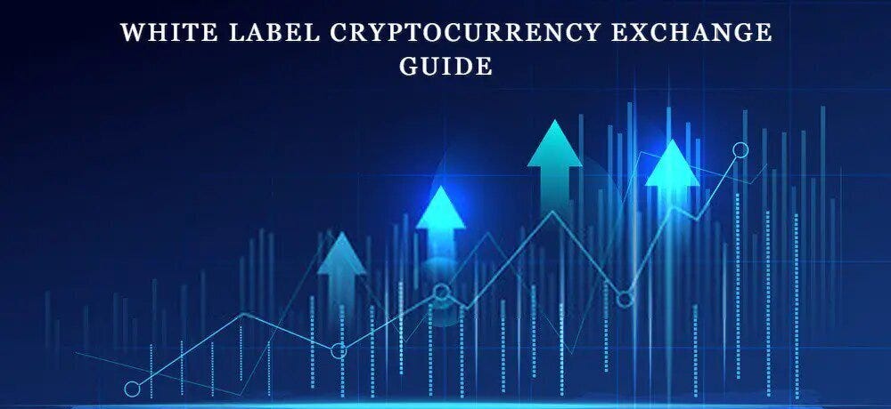 Top 5 White Label Crypto Exchange Development Companies in 2024 | Coinmonks