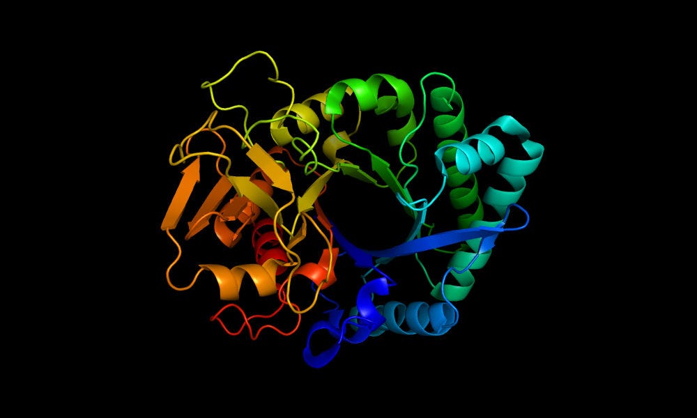 The Science of Protein Folding: How Proteins Fold and Why it Matters ...