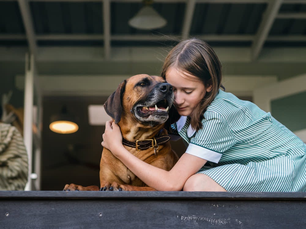 What are some signs that indicate a dog may not like its owner anymore ...