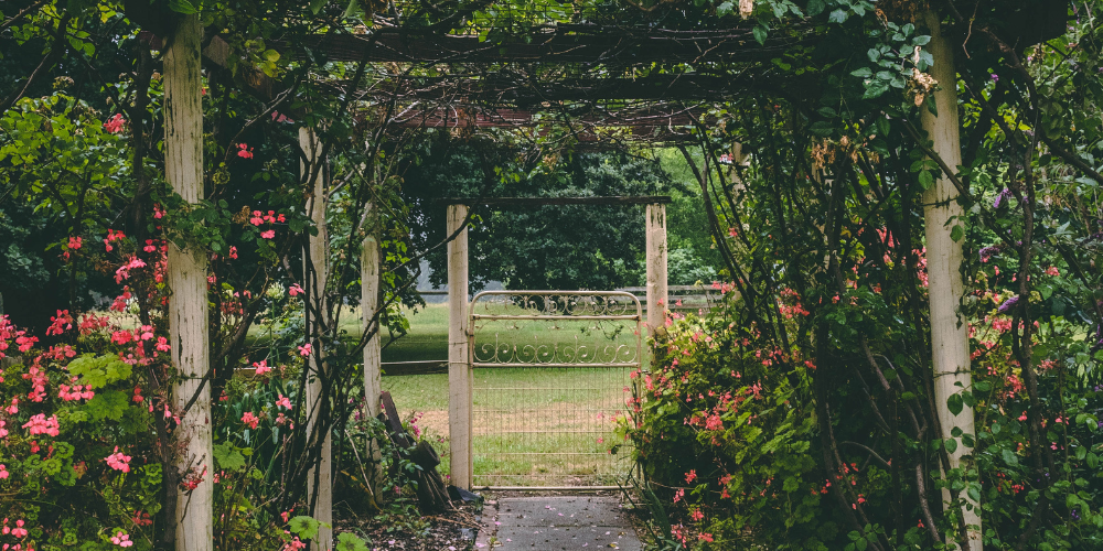 Cultivate Your Garden: Voltaire's Philosophy | ILLUMINATION