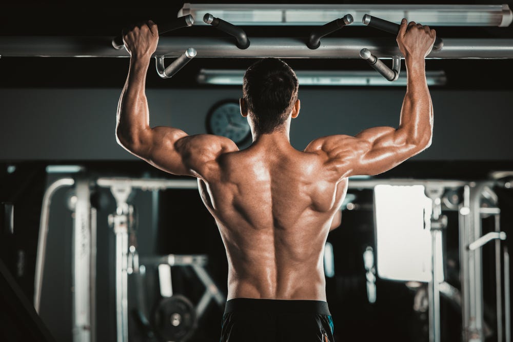 The 15 Best Back Exercises To Build Muscle | by MuscleTalkMagazine | Medium