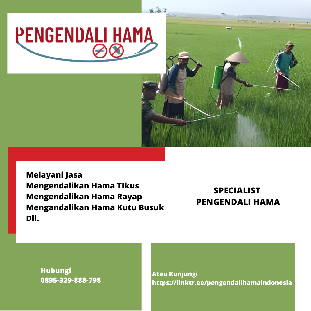Specialist Pengendali Hama - Jasapengendalihama - Medium