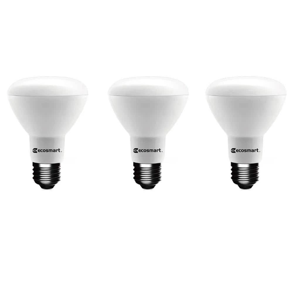 Ecosmart bulbs. Get ready to light up your world in an… | by Cindy ...