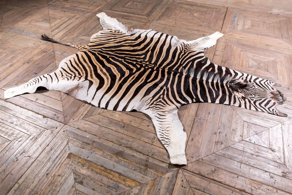 The Timeless Elegance of Animal Hide Rugs: A Comprehensive Guide | by ...