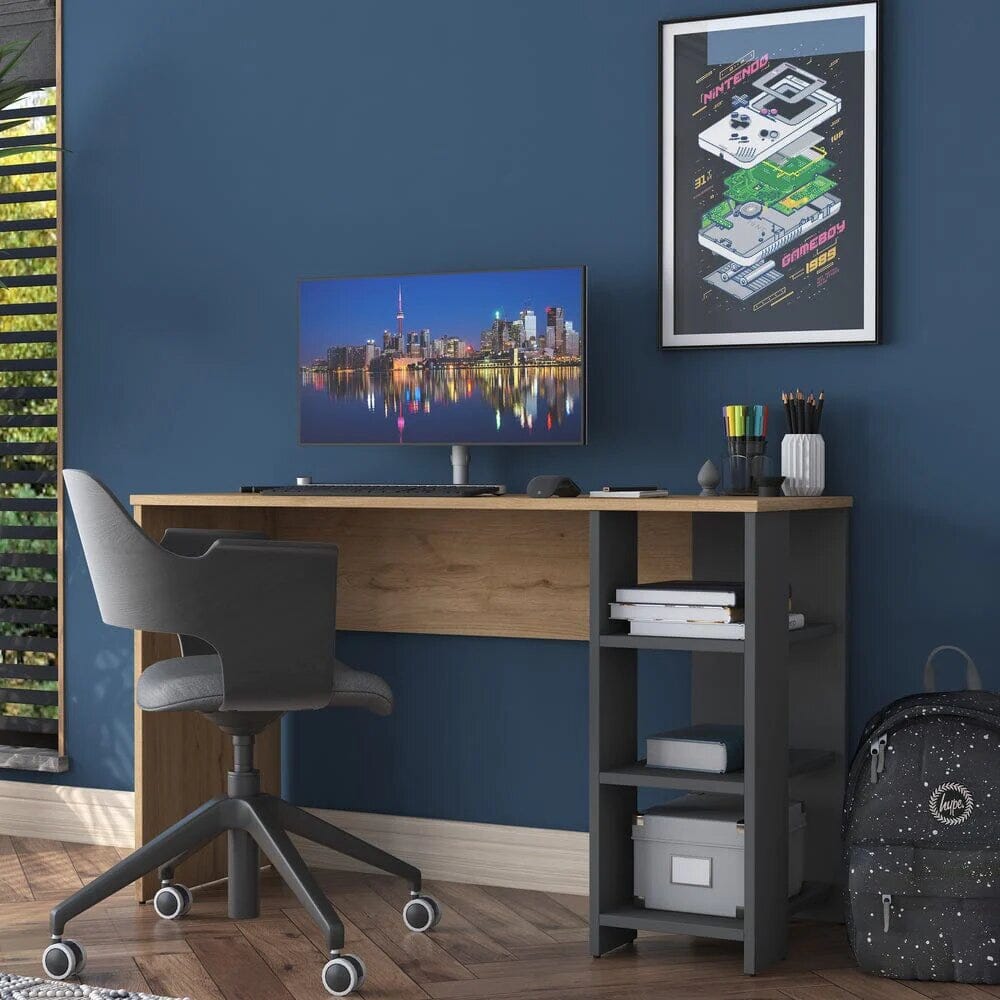 Shop The Home Canvas Home and Office Modern Design Desk - Thehomecanvas ...