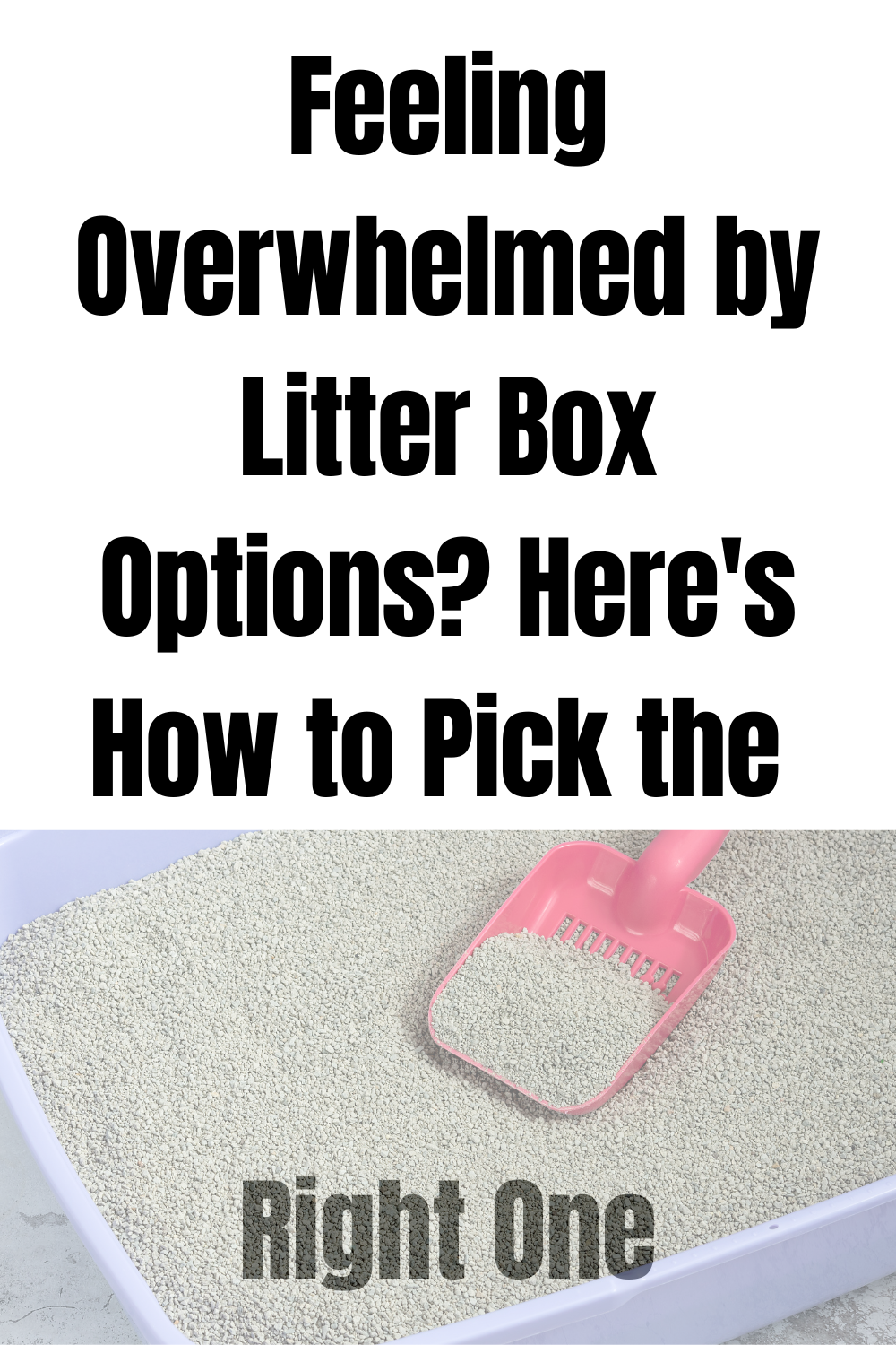 Feeling Overwhelmed by Litter Box Options? | by Shelley Wenger | Nov ...