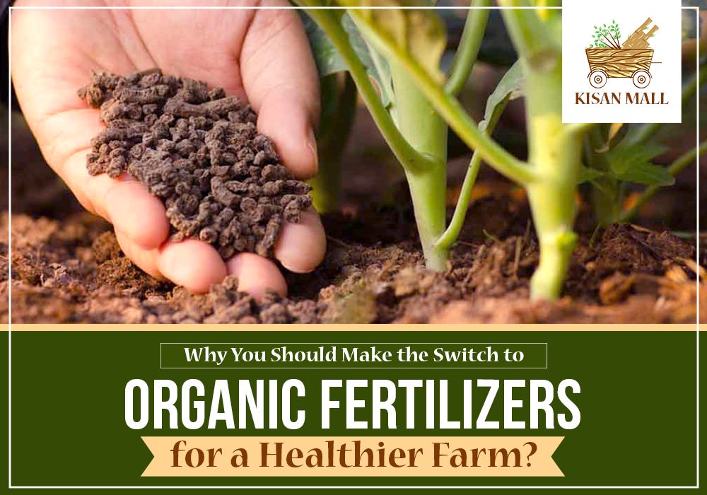 Why You Should Make the Switch to Organic Fertilizers for a Healthier ...