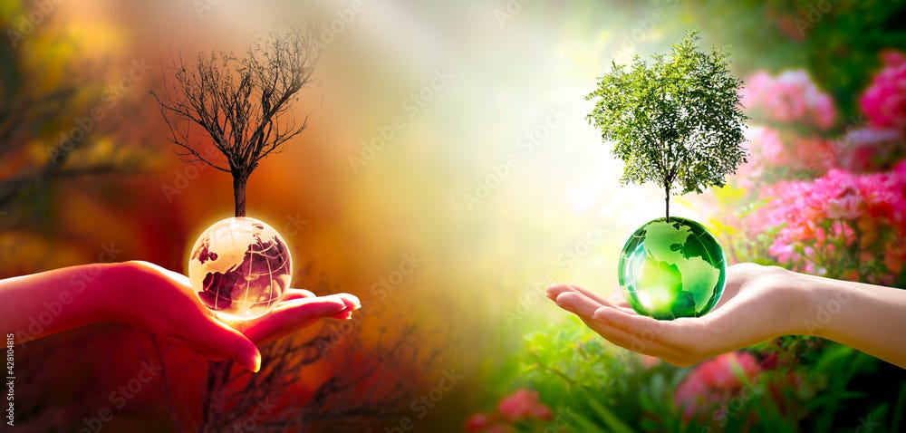 Nature and Global Warming. Effects of Nature & Global Warming | by Hamza Nisar | Medium