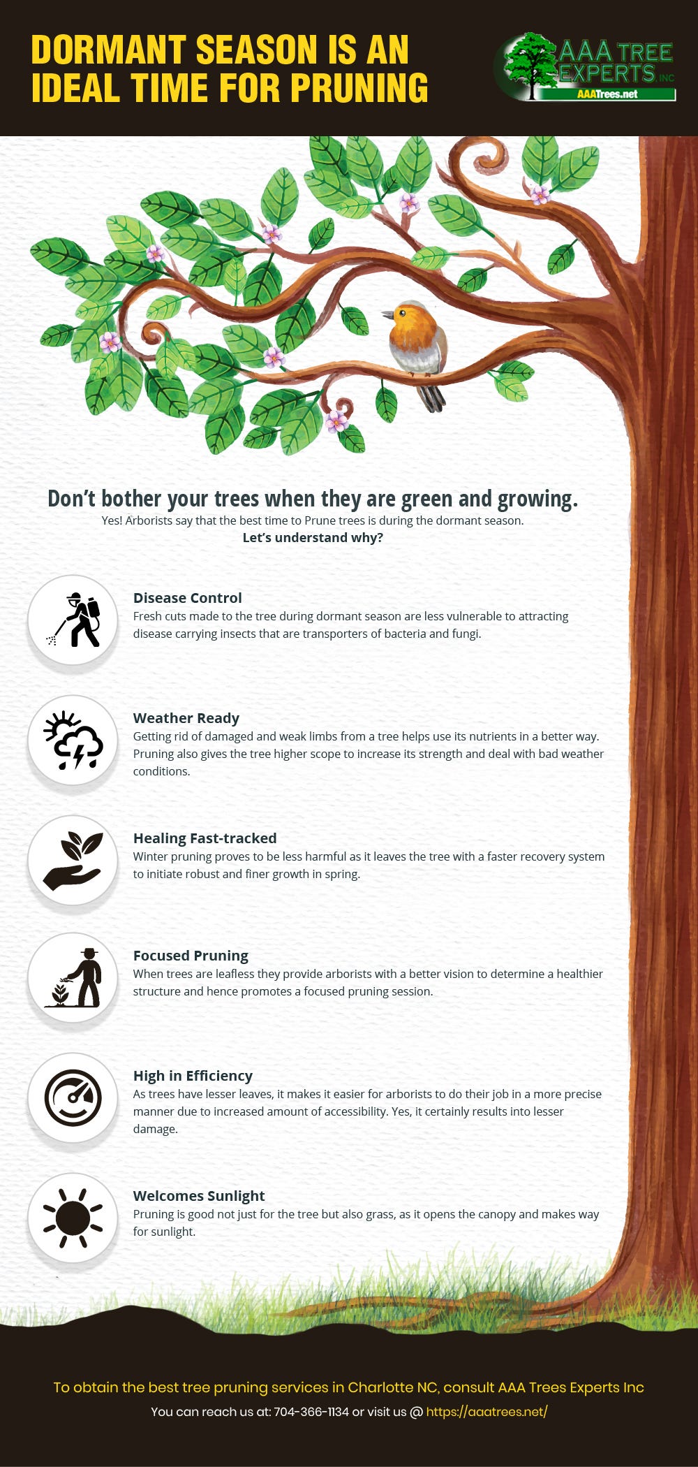 Dormant Season is an Ideal Time for Pruning | by Heather Nelson | Medium