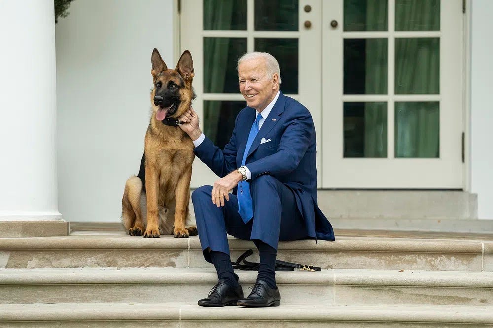 Biden’s German shepherd, Commander, has been chomping on Secret Service ...