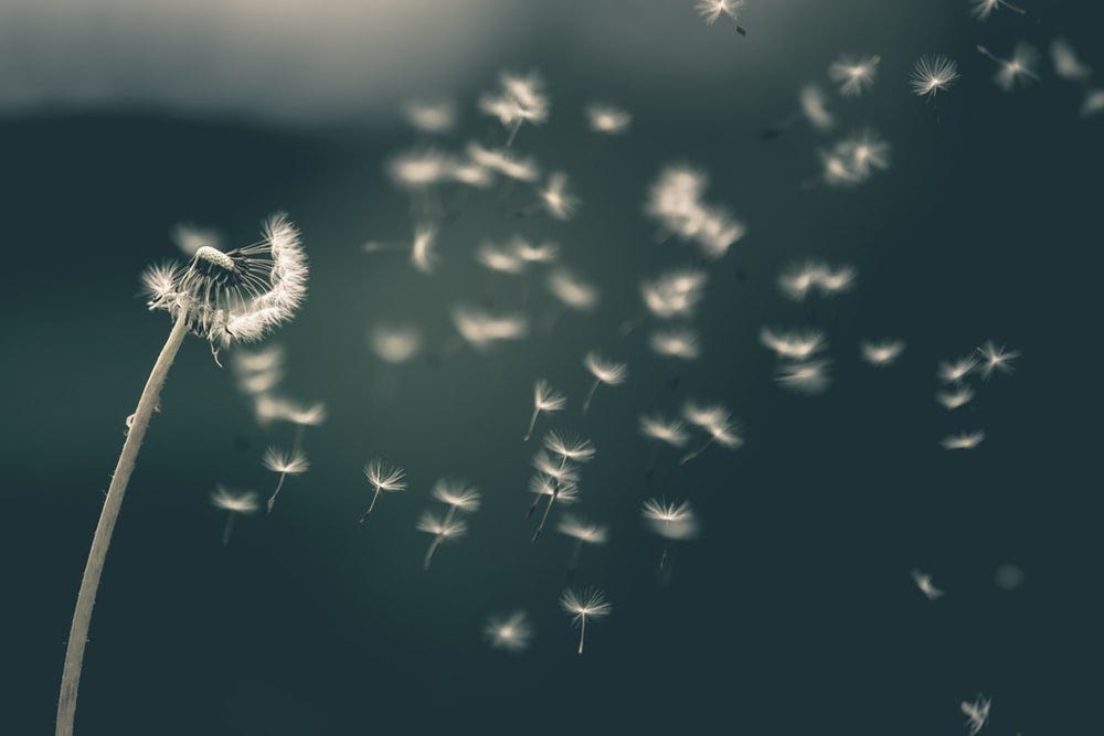 LEARN TO LET GO OF ANYTHING THAT HURTS | by Faiza Urooj | Medium