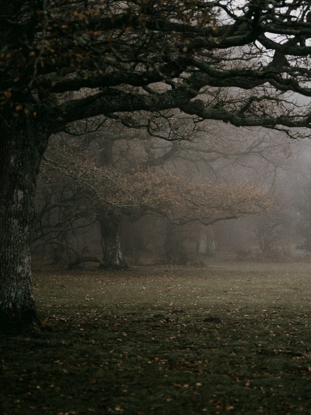 When You’re Not Okay, and That’s Okay - Esther Ejeh - Medium