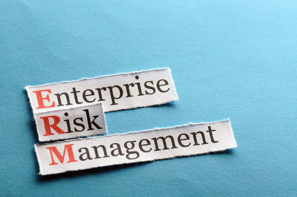 The Critical Role of Enterprise Risk Management in the Banking Sector ...
