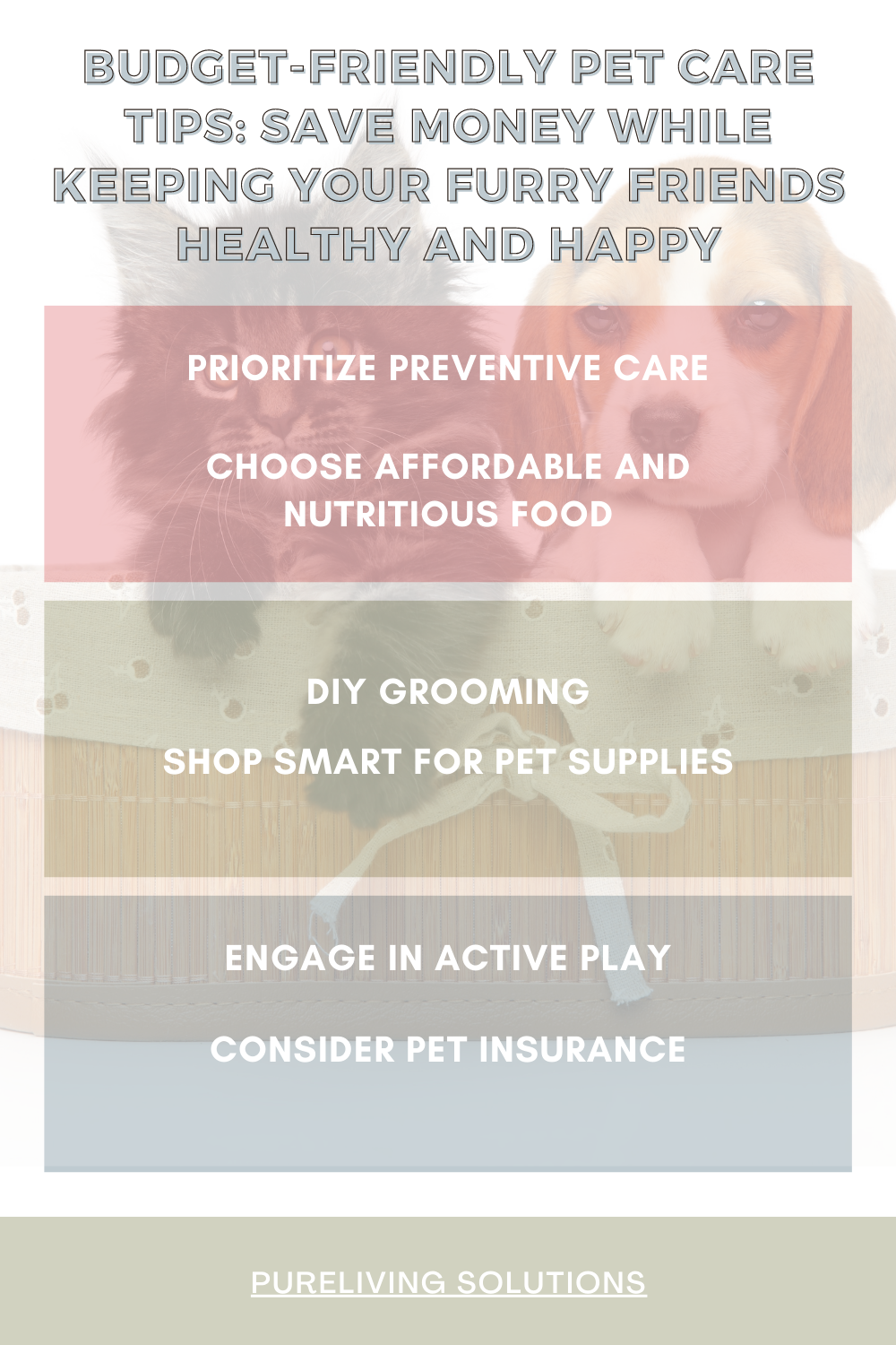 Budget-Friendly Pet Care Tips: Save Money While Keeping Your Furry ...