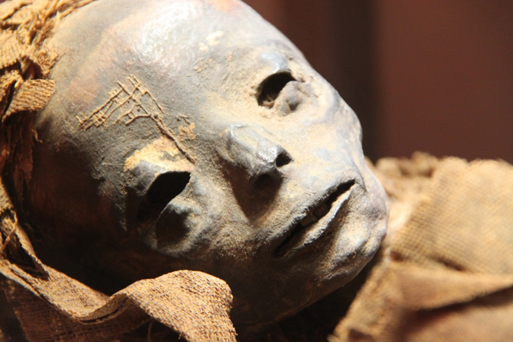 Mummies Speak to Us via Ancient Bacteria | by Kristen French | I ...