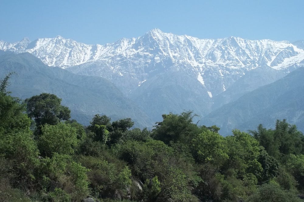 Dharamsala | by Ophelia Travels | Medium