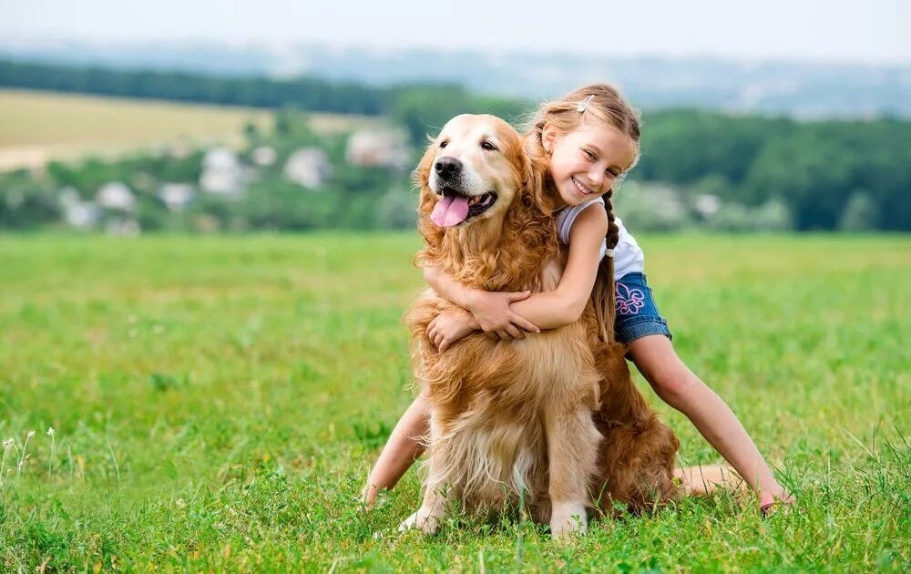 Best Dog Breeds for Kids. A great companion for your kids will be… | by ...