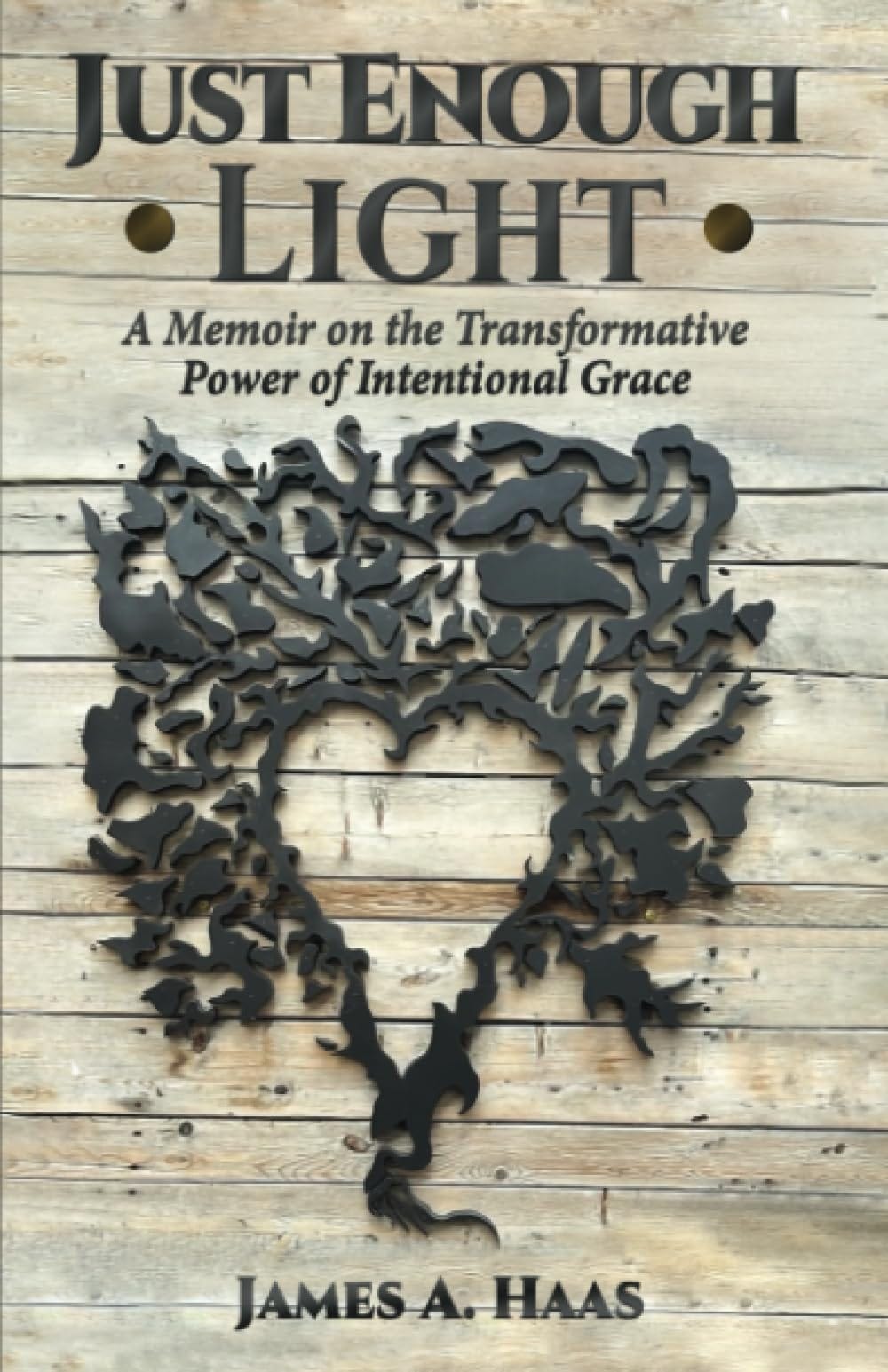[book] Just Enough Light A Memoir On The Transformative Power Of