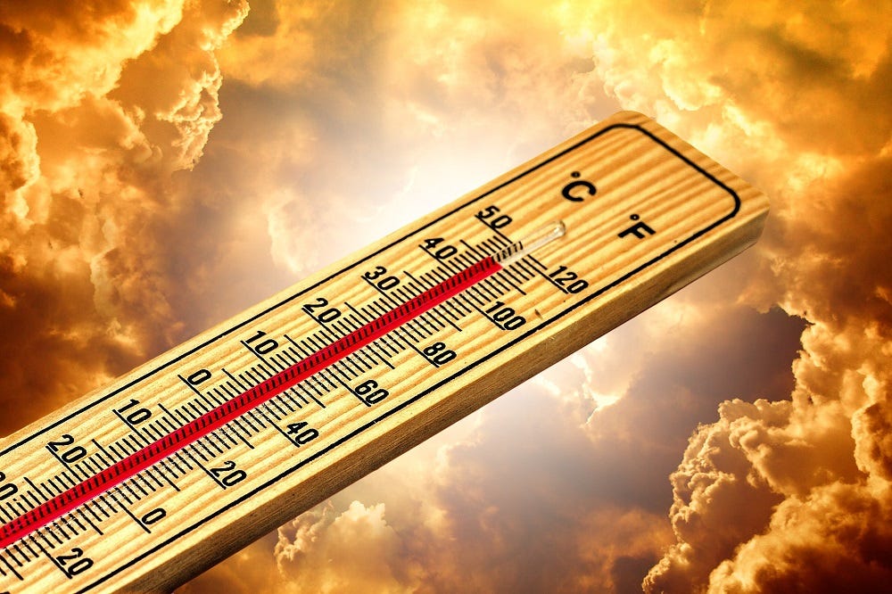 12 Effects of Extreme Heat on Human Health- A Report | by Heema Bhatia ...