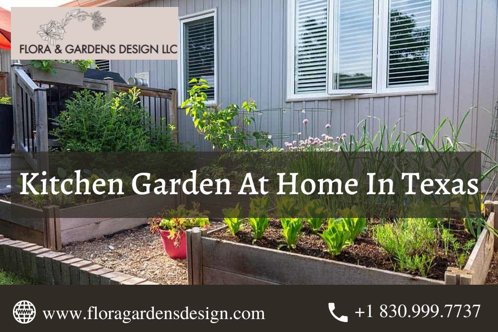 The kitchen garden at home in Texas is made easier now! | by Flora ...