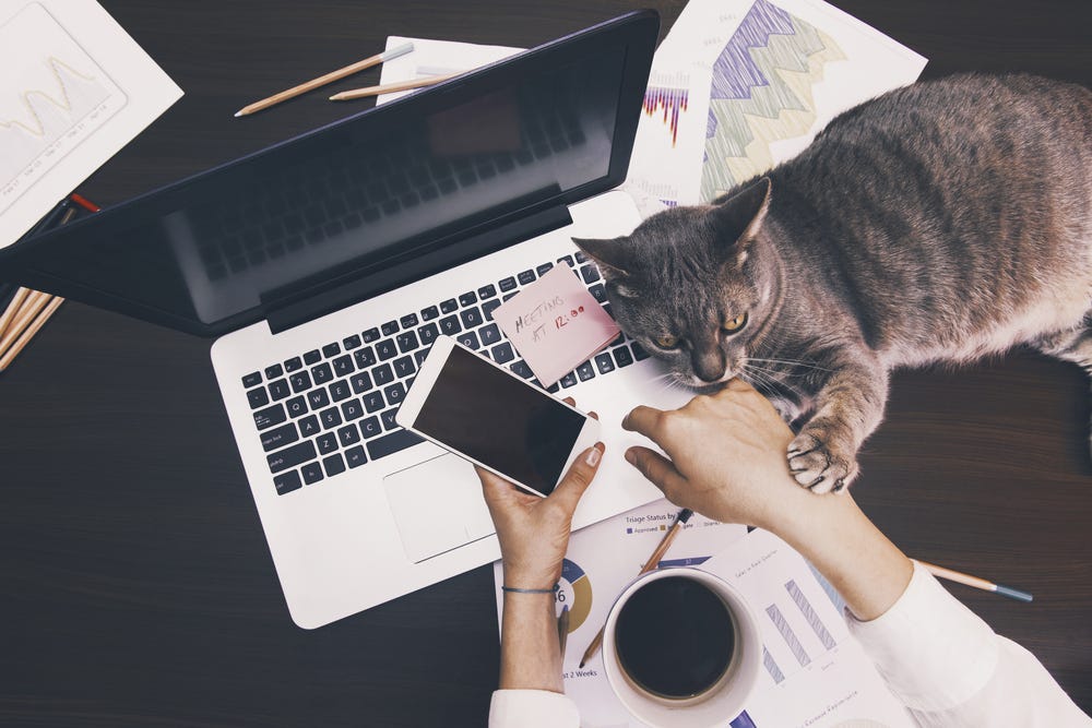 Time Management for an Unstructured Day at Home | by Tara Well, PhD ...