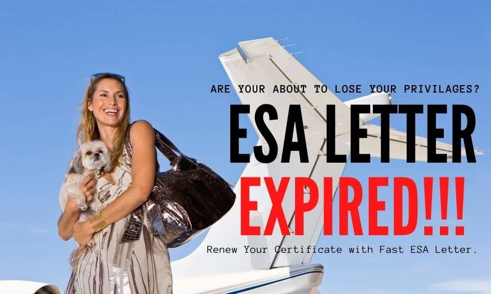 My Esa Letter