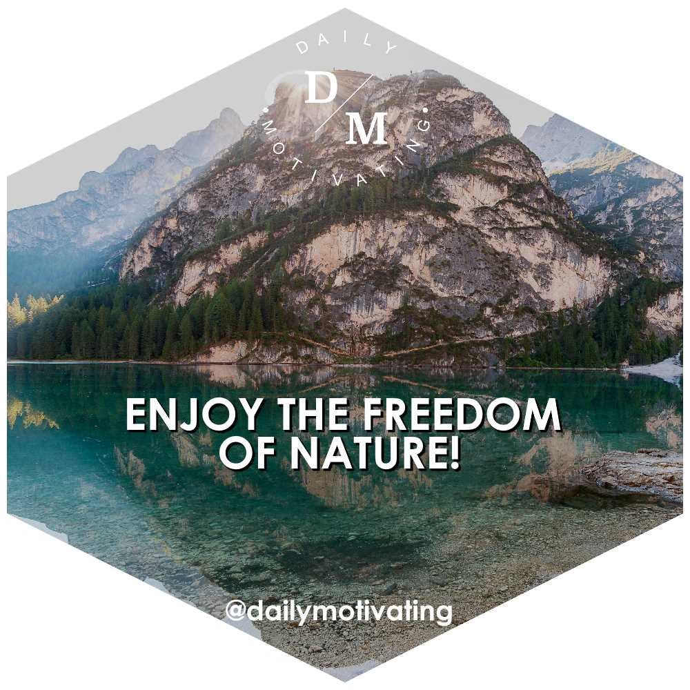 Enjoy the freedom of nature! 🙏🏻 | by dailymotivating | Medium