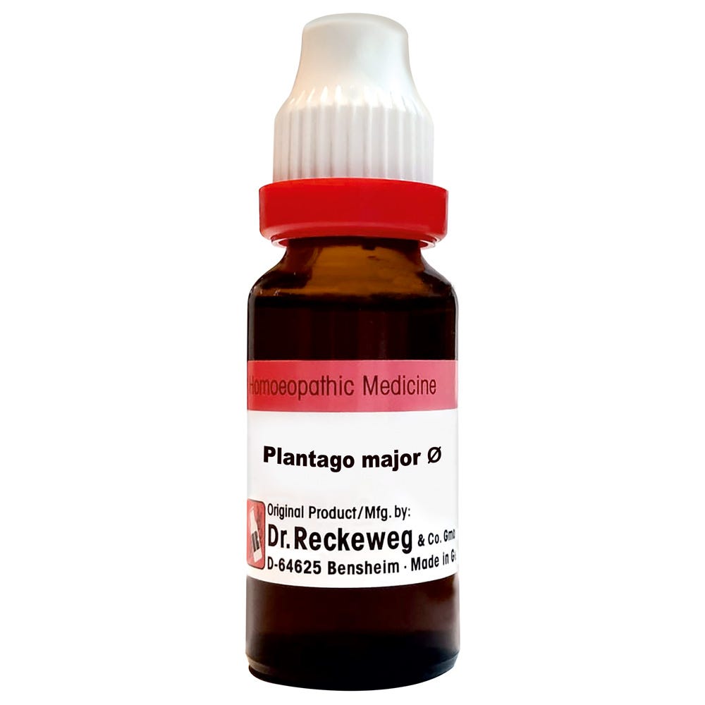 Dr. Reckeweg Plantago major Mother Tincture - Indiareckeweg - Medium