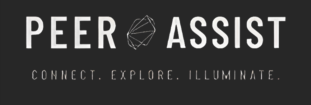 Empowering Student Success: Introducing Peer Assist — Your Semester ...