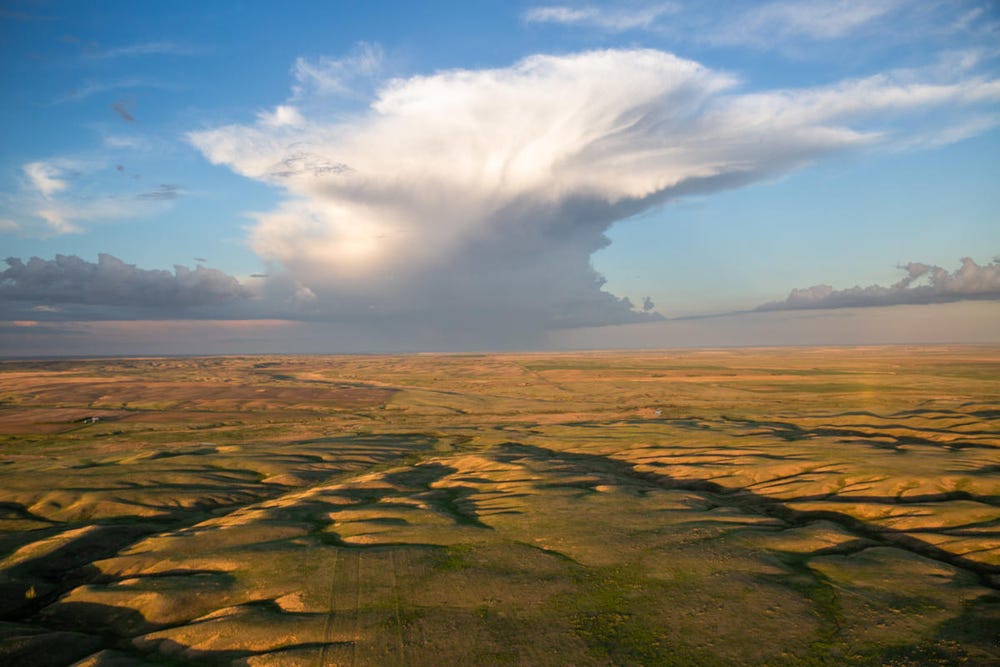 Power to align action. Integrating landscape considerations… | by WWF ...