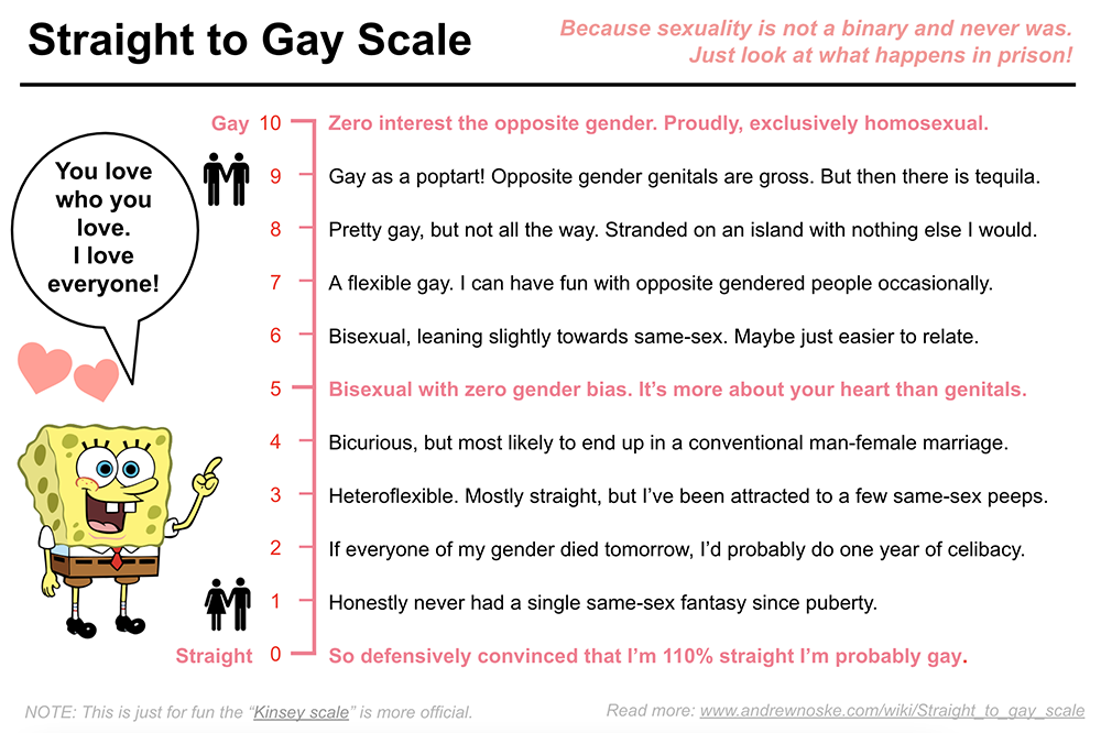 The Straight to Gay Scale. This 0 to 10 “straight to gay” scale is ...