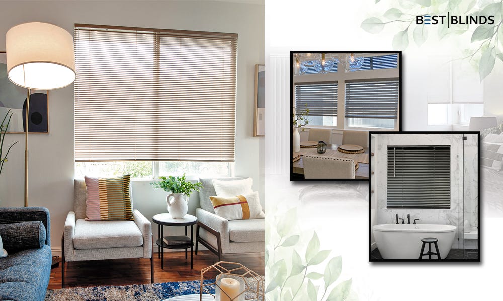 How to Choose the Best Window Blinds for Your Office? | by Best Blinds | Oct, 2024 | Medium