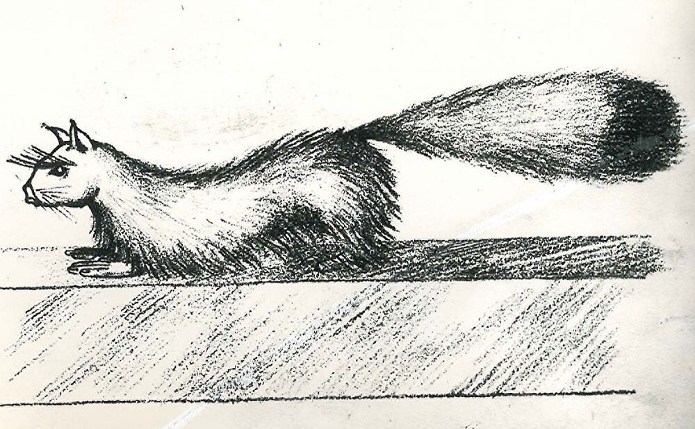 The Bizarre Case of Gef, The Talking Mongoose | by Jupiter Grant ...