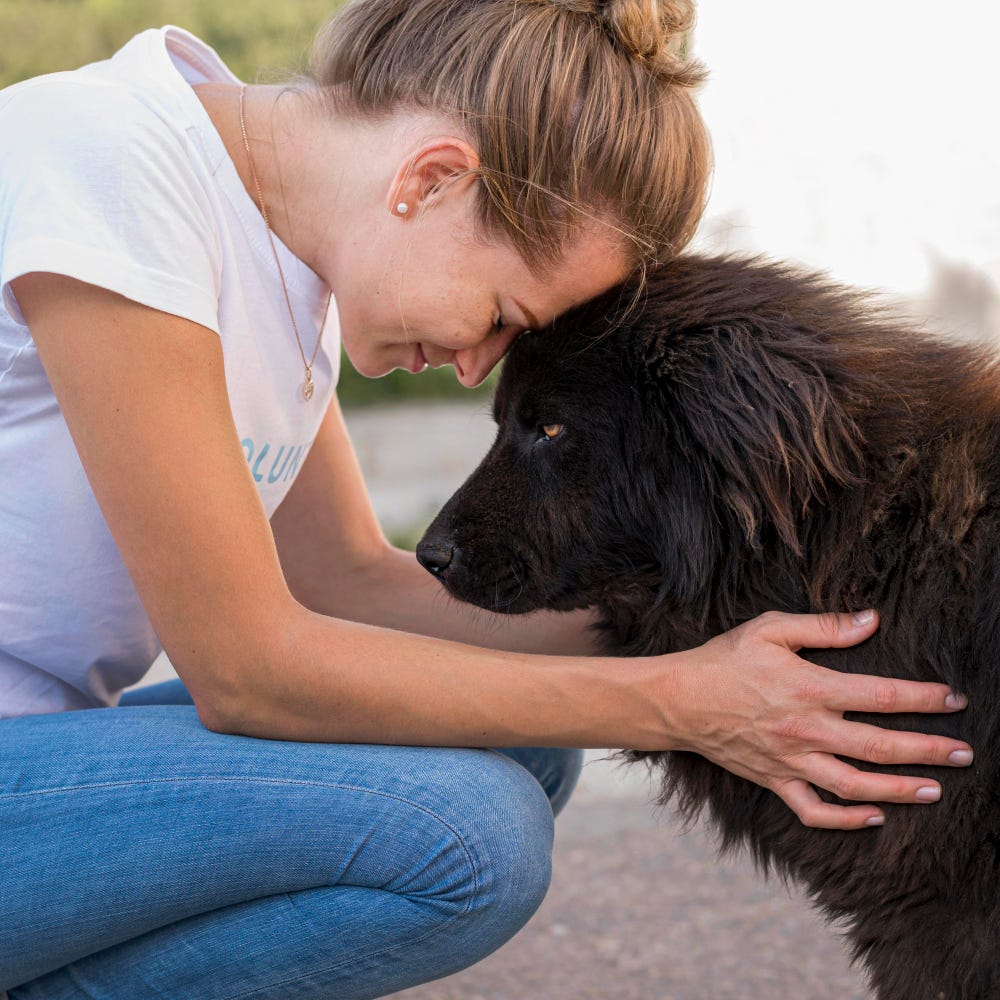 A Guide to Choosing the Ideal Emotional Support Animal for You | by ...
