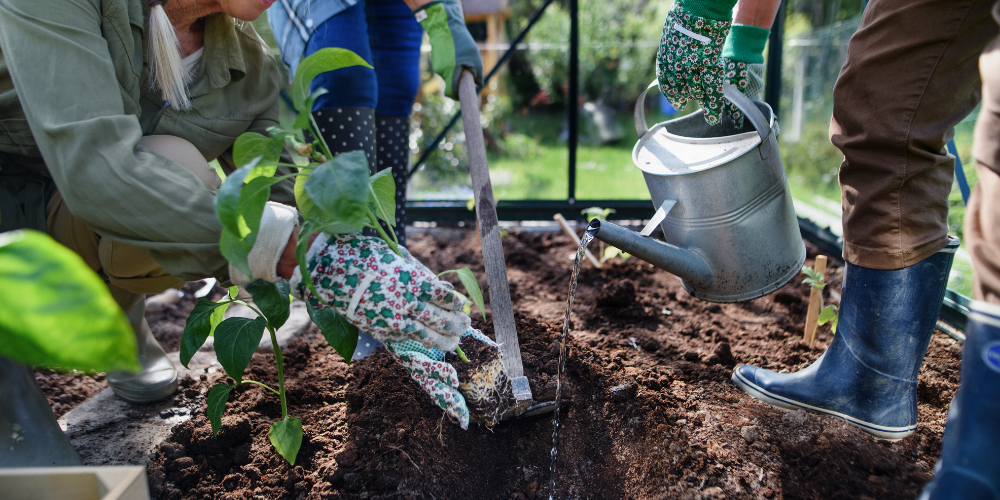 Community Gardening Impact: Transforming Neighborhoods One Plot at a ...