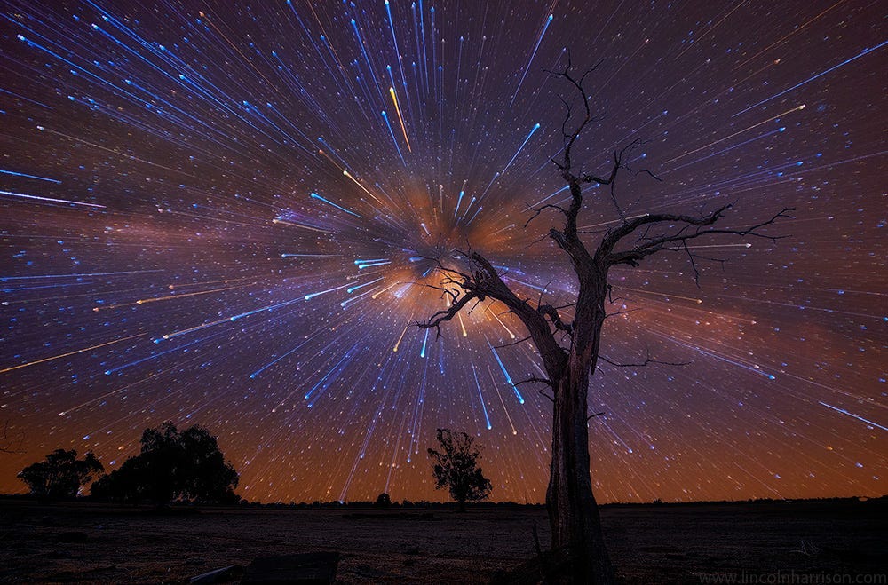 Why the Stars Fall. A Story About Us | by umair haque | a book of ...