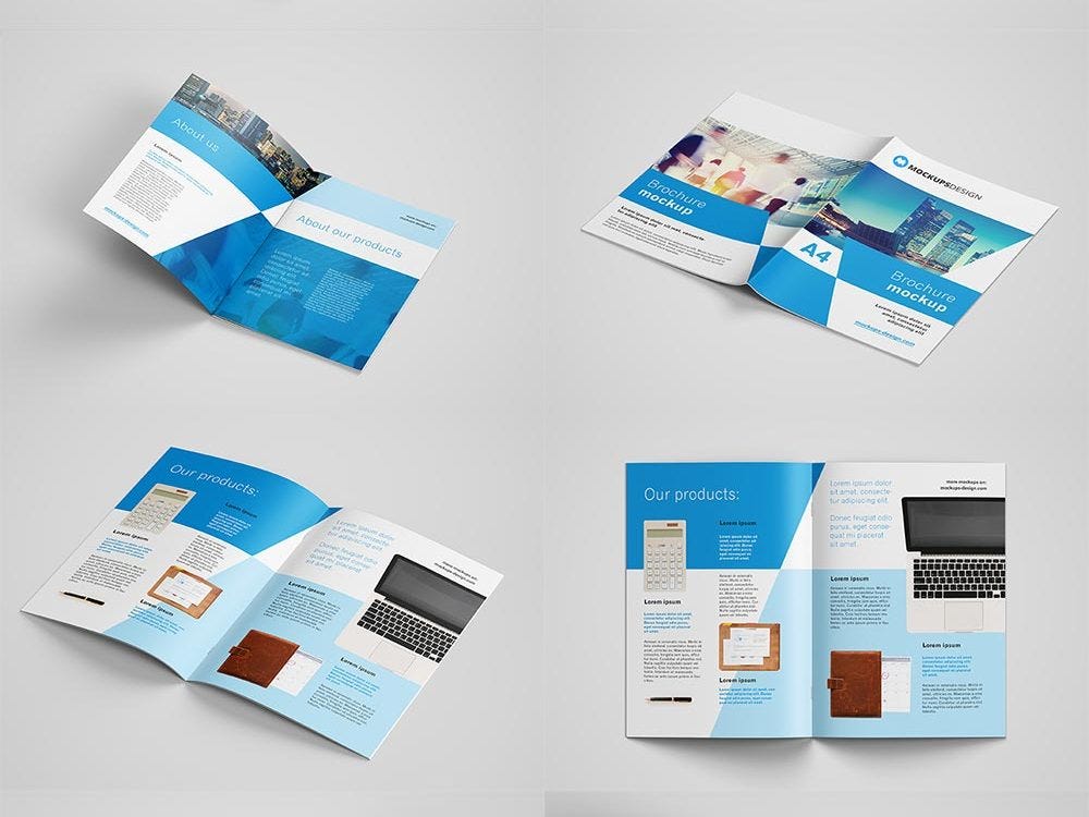 What is a catalog and what factors are effective in designing a catalog ...