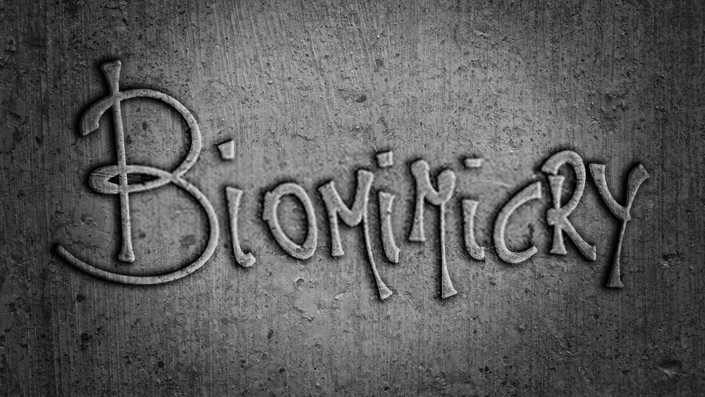 BIOMIMETICS: Can Make Life Better — 🄼🄸🅂🄷🄼🄰🅂🄷 | by MishMash | Medium