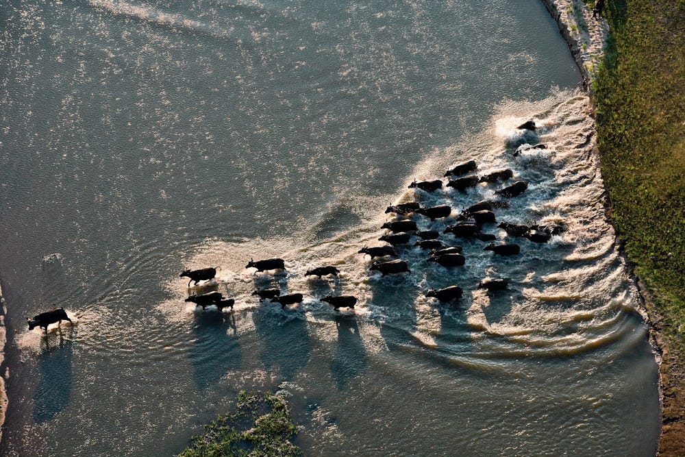 Mapping and monitoring the world’s most important places for ...