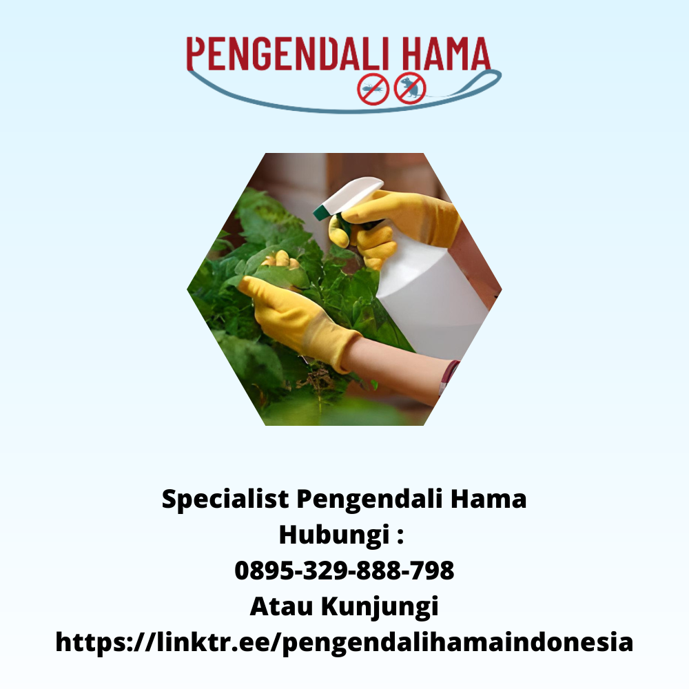 Specialist Pengendali Hama - Jasapengendalihama - Medium
