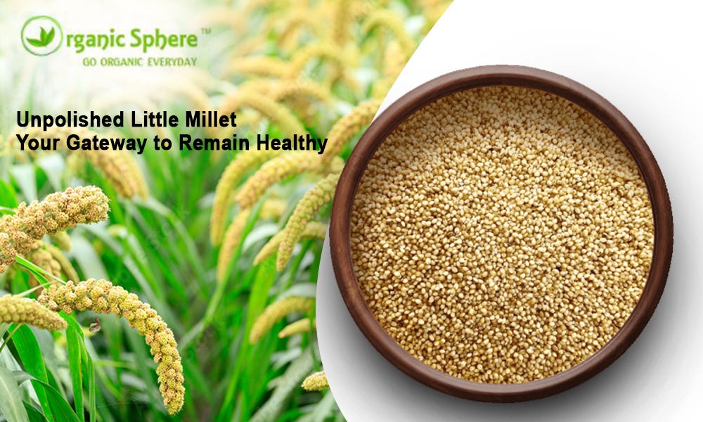 Unpolished Little Millet: Your Gateway to Remain Healthy | by Organic ...