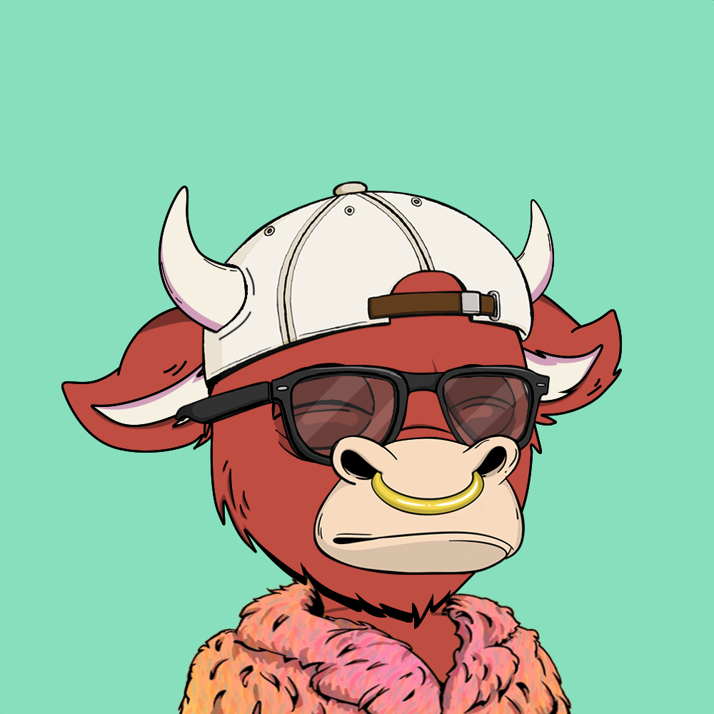 A change of scene — Baby Okay Bulls | by Baby Okay Bulls | Medium