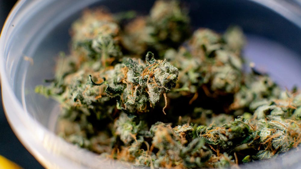 Skywalker Strain: A Powerful Indica for Relaxation | by Colorado ...