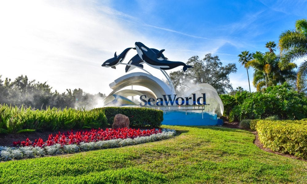 Splash Into Fun at SeaWorld on a Budget | by Natalie Silk | May, 2025 ...
