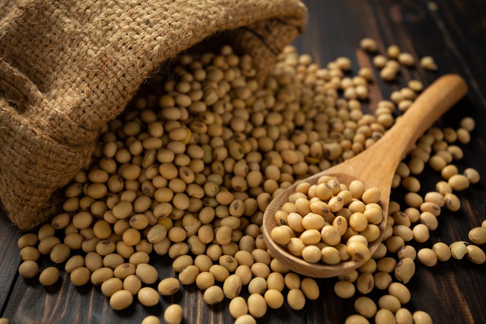 Green Gold: The Rising Tide of Soybean Production in India | by Price ...