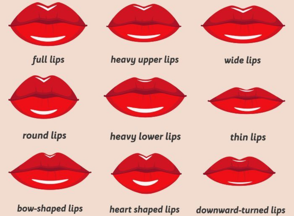 This Is What Your Lip Shape Says About Your Personality! - Live Laugh ...