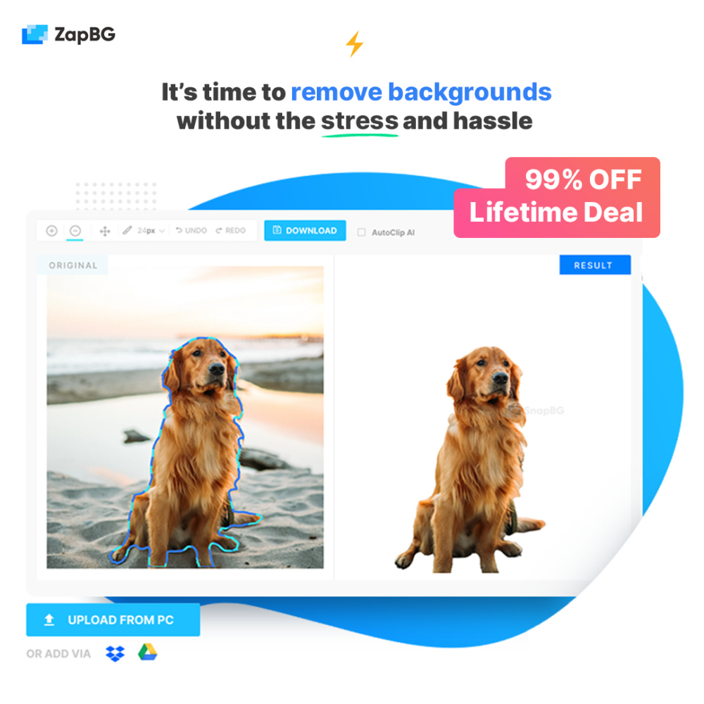 ZapBG Review — Is This Background Remover Worth It - digitalshine - Medium